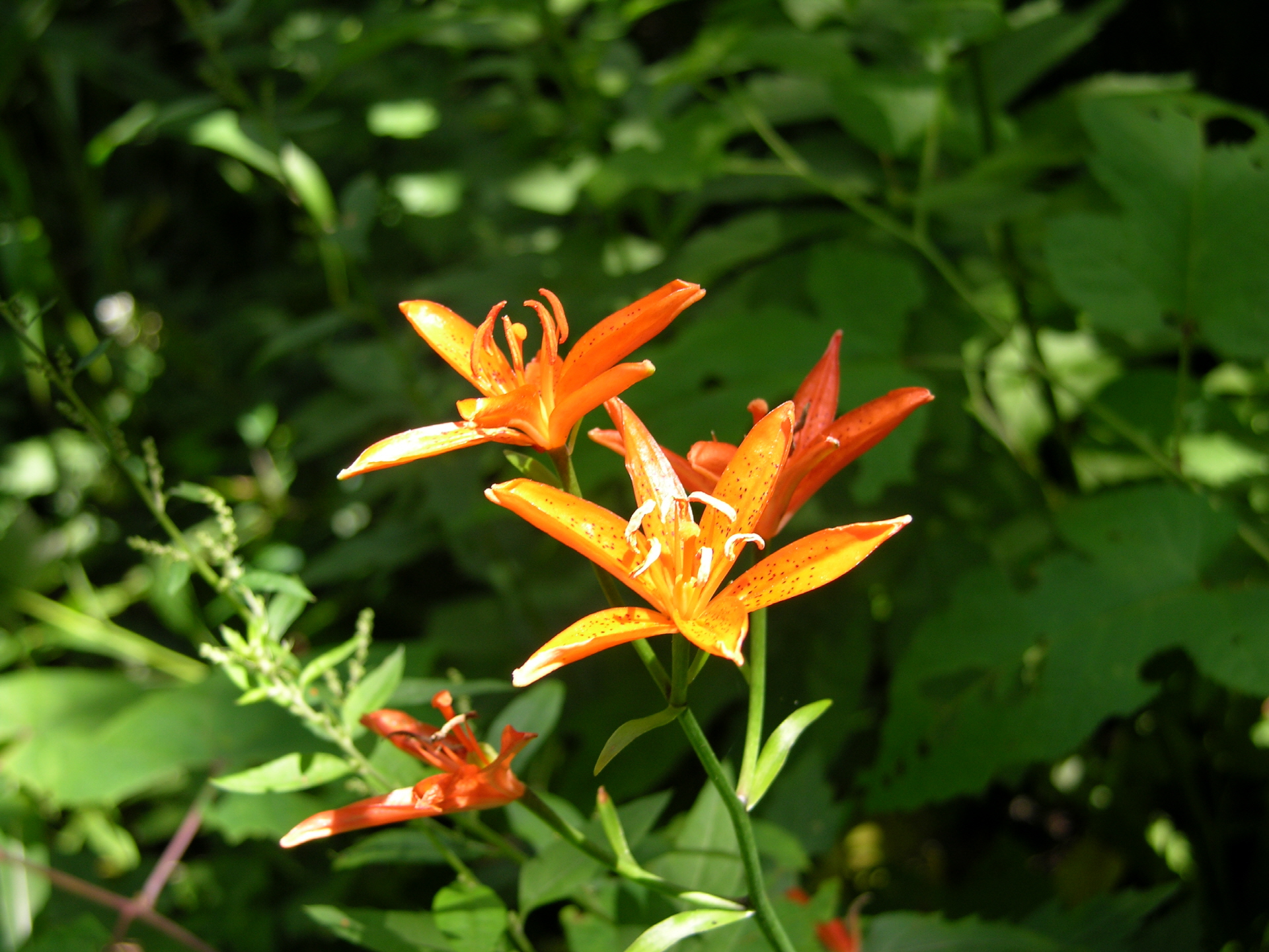 Deogyusan National Park | South Korea 대한민국 | Outdoors Korea