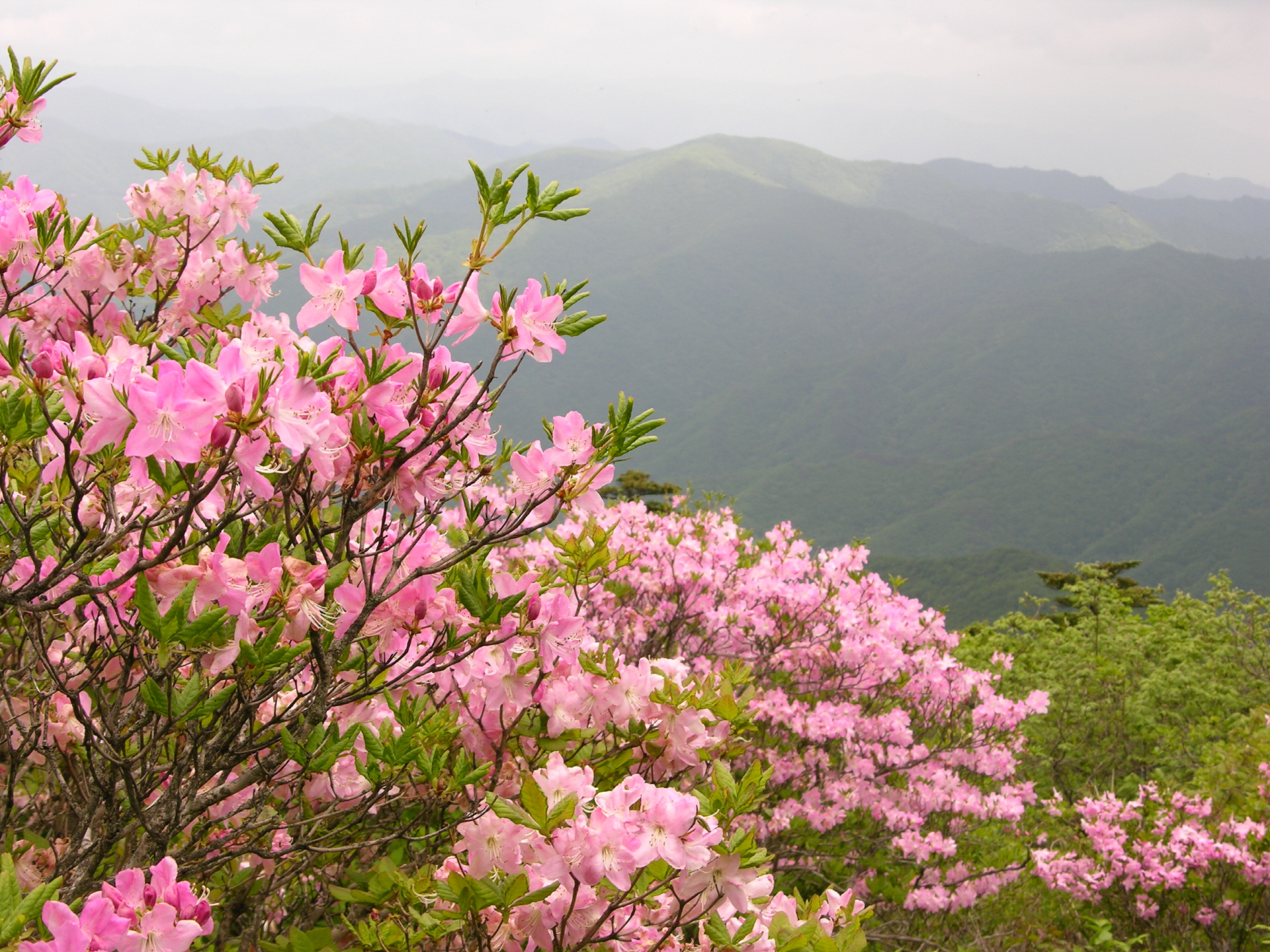Taebaeksan National Park | South Korea 대한민국 | Outdoors Korea