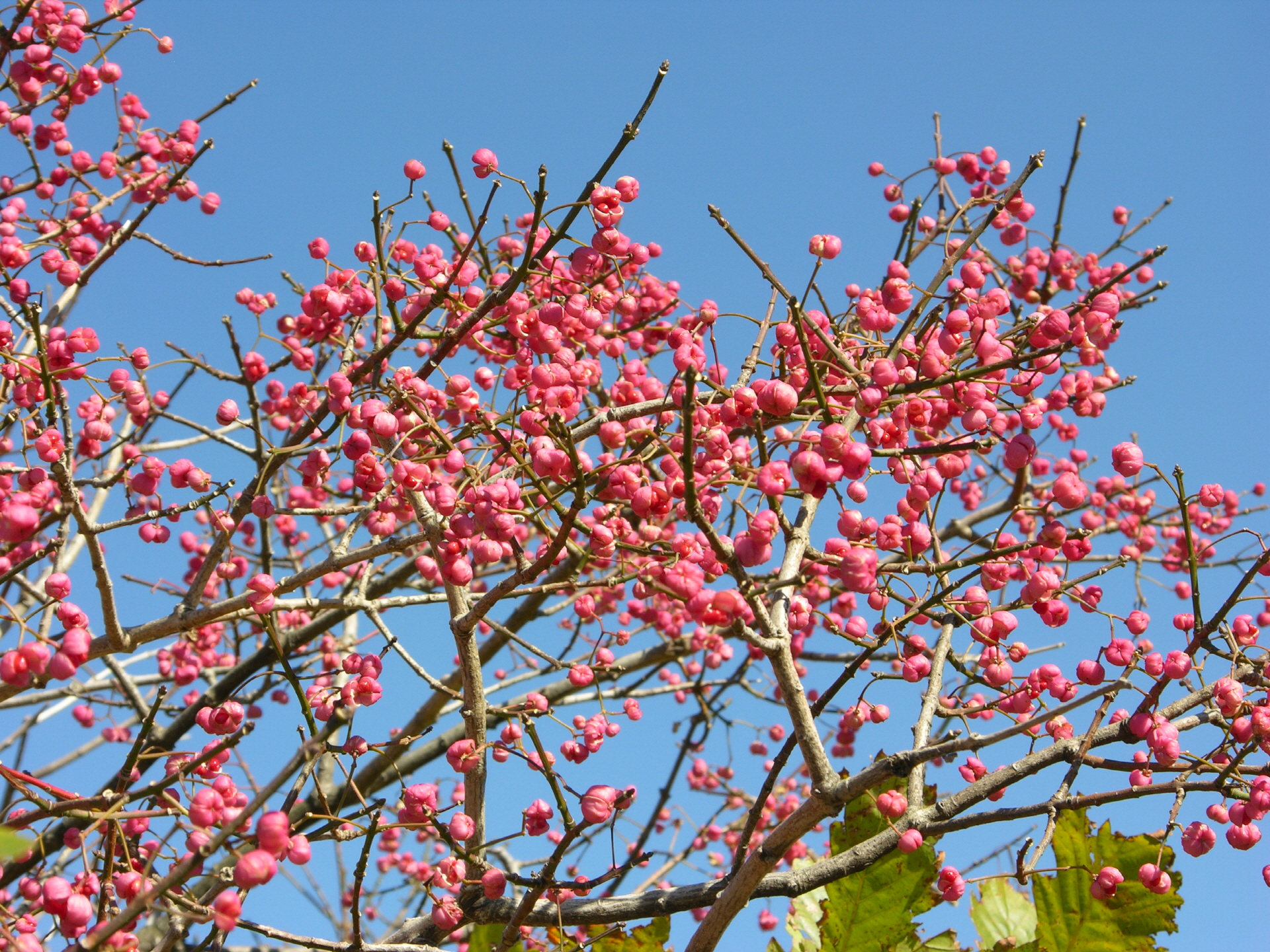 Deogyusan National Park | South Korea 대한민국 | Outdoors Korea