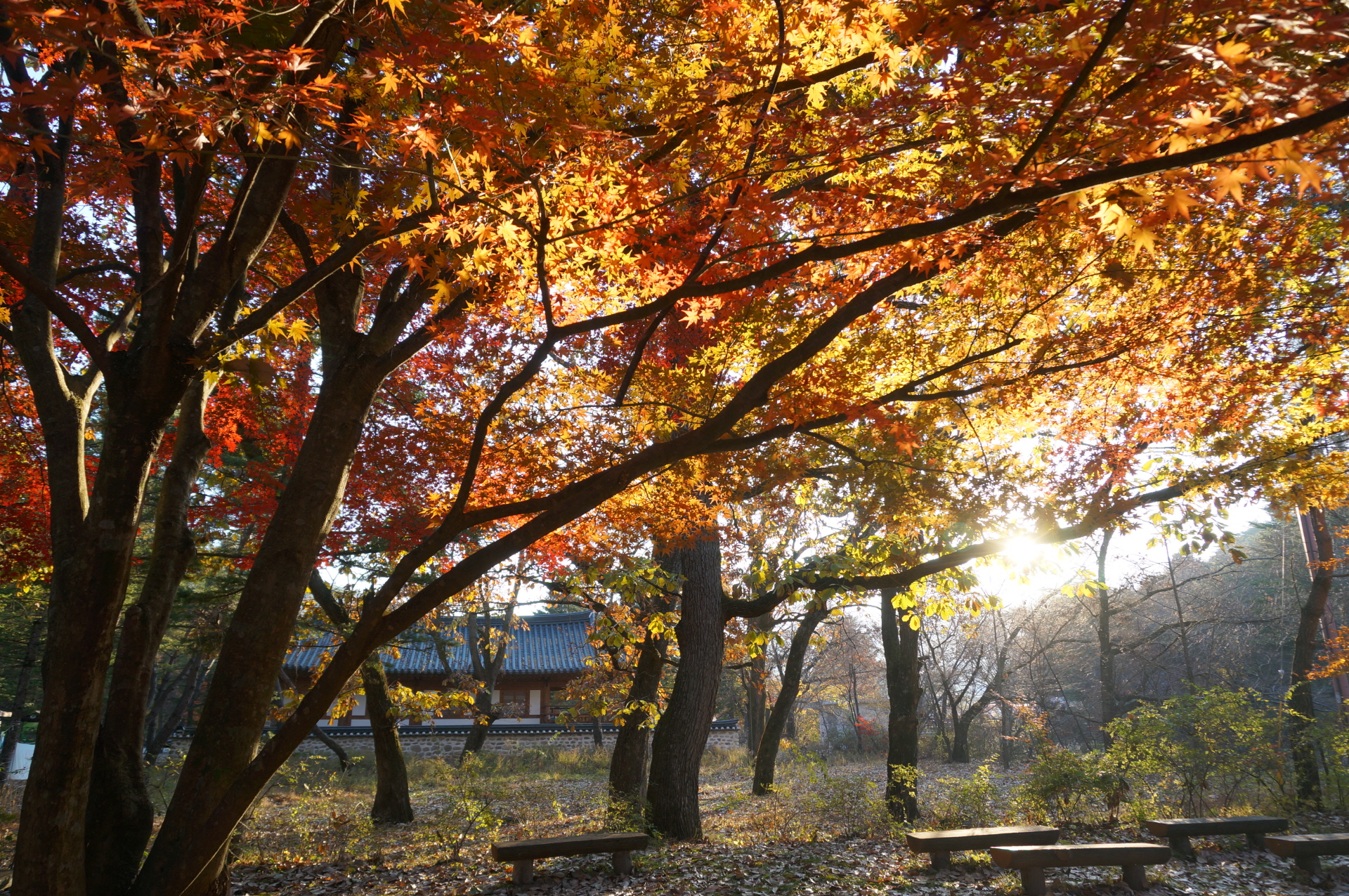 Songnisan National Park | South Korea 대한민국 | Outdoors Korea