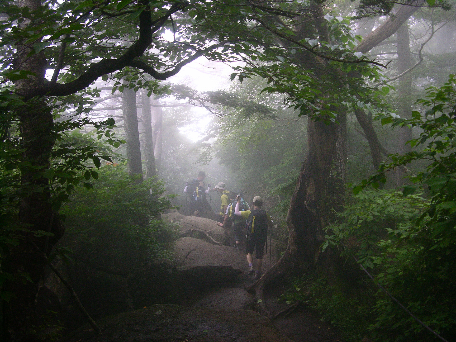 Jirisan National Park | South Korea 대한민국 | Outdoors Korea