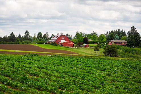 Home | Green Bluff Growers