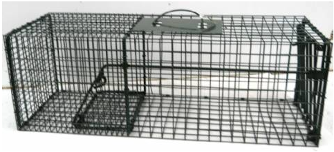 Duke #1109 Heavy Duty Cage Trap | Cumberland Trappers