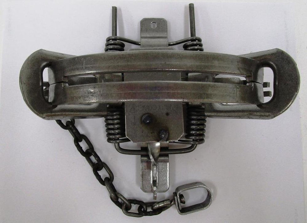 Montgomery Dogless Traps | Cumberland Trappers