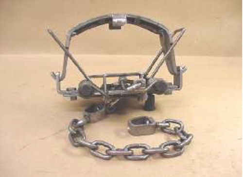 MB 650 Coyote Trap with Inside Laminated 1/4" Offset Jaws Minnesota ...