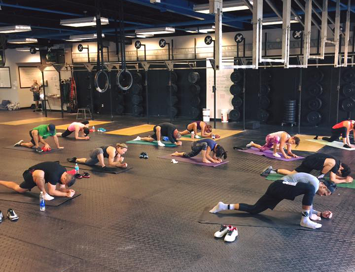 Home | realfitnessnaples