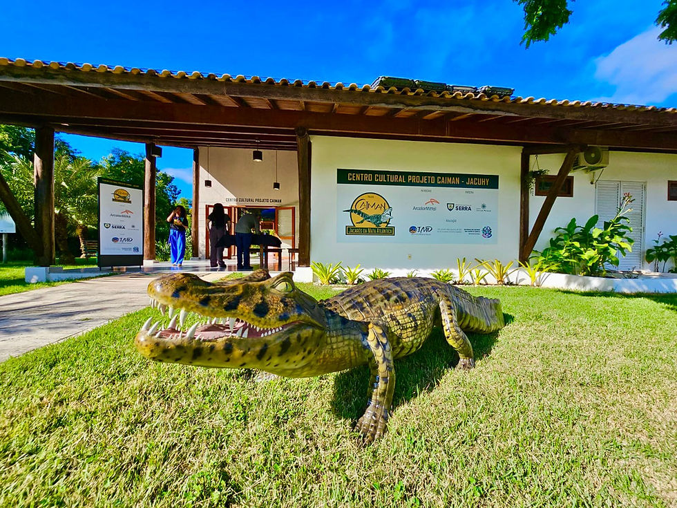 Centro Cultural Projeto Caiman: conheça novo espaço dedicado à cultura ...