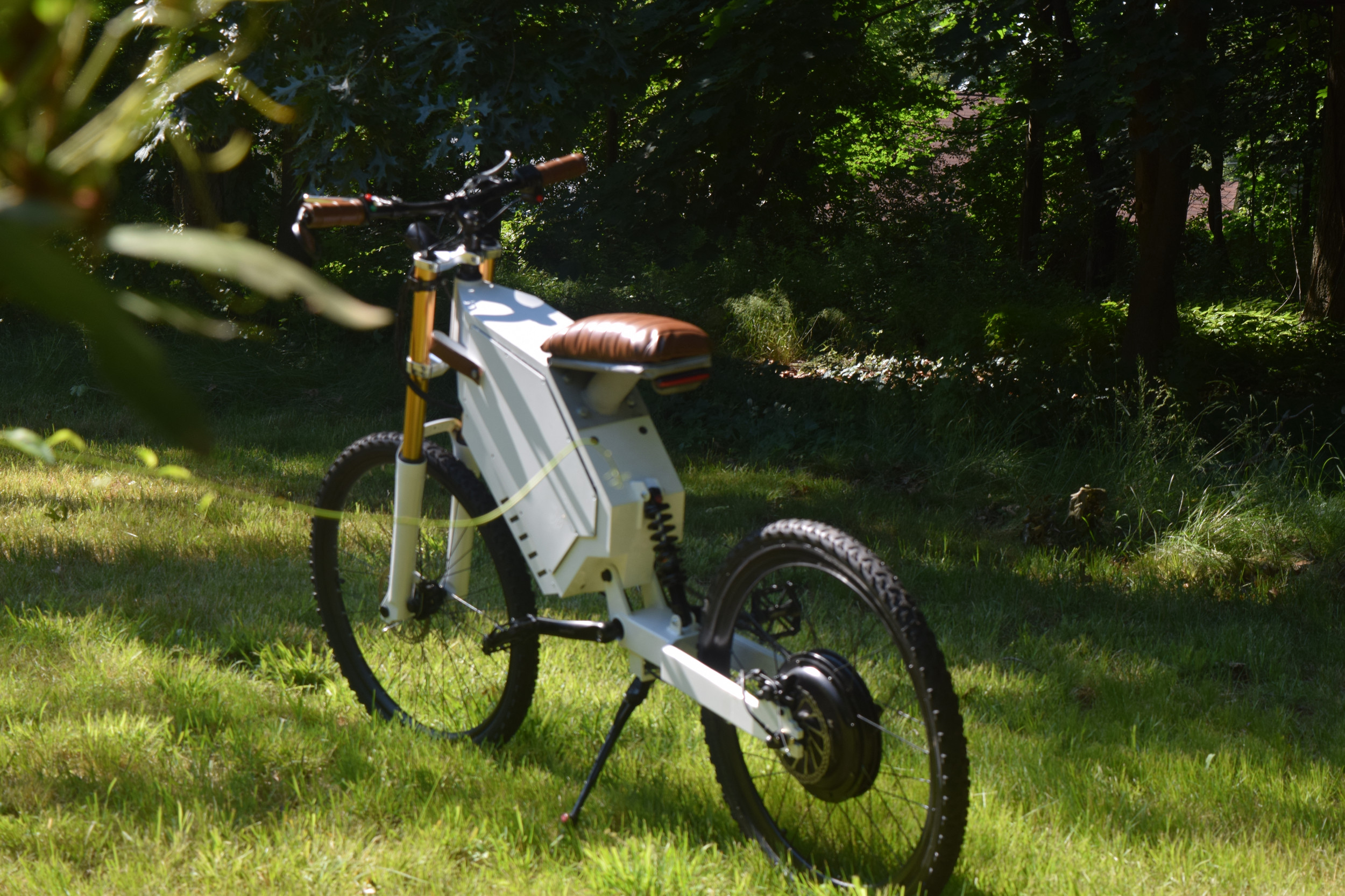Electric Bikes For Sale | Okapi Electric Bikes | United States