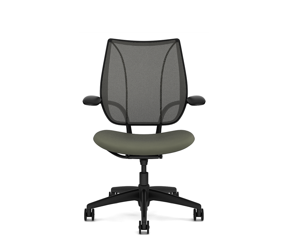 Liberty Conference/Task Chair | ergovn