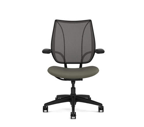 Liberty Conference/Task Chair | ergovn