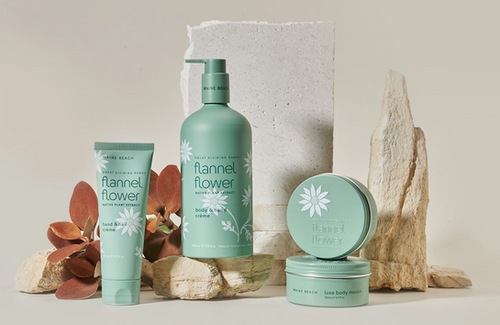 Great Dividing Range Flannel Flower Maine Beach Collection | victorscot