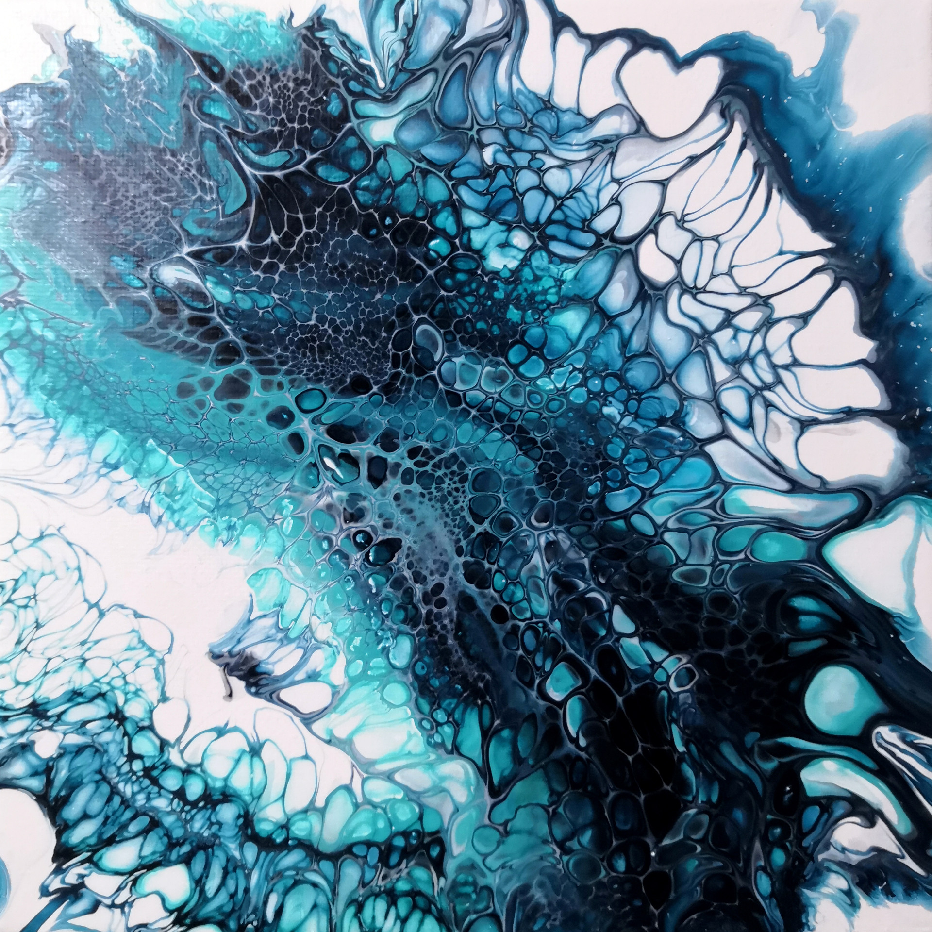 7Artists+ | Caroline Moore
