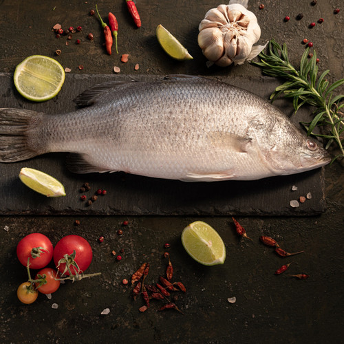 Barramundi (Seabass) 金目鲈 | Changi Fish Mart