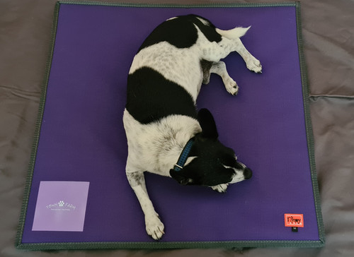 Dog Training Mat Medium | Town Farm Pet Care