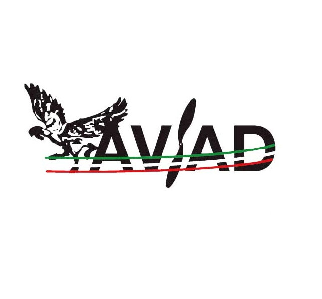 Aviad Ultralight Aircraft Systems | Plans, Components & Technical Support