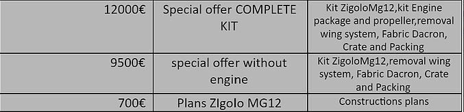 New Batch Extended Electric Aircraft Zigolo Mg12
