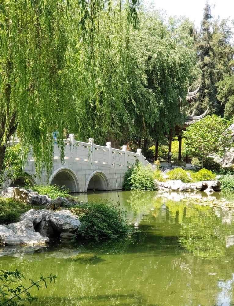 The Huntington Botanical Gardens are open — and gorgeous!