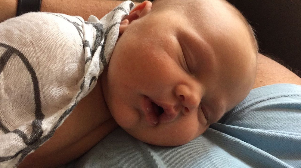 An addition to the South African Flemmer clan