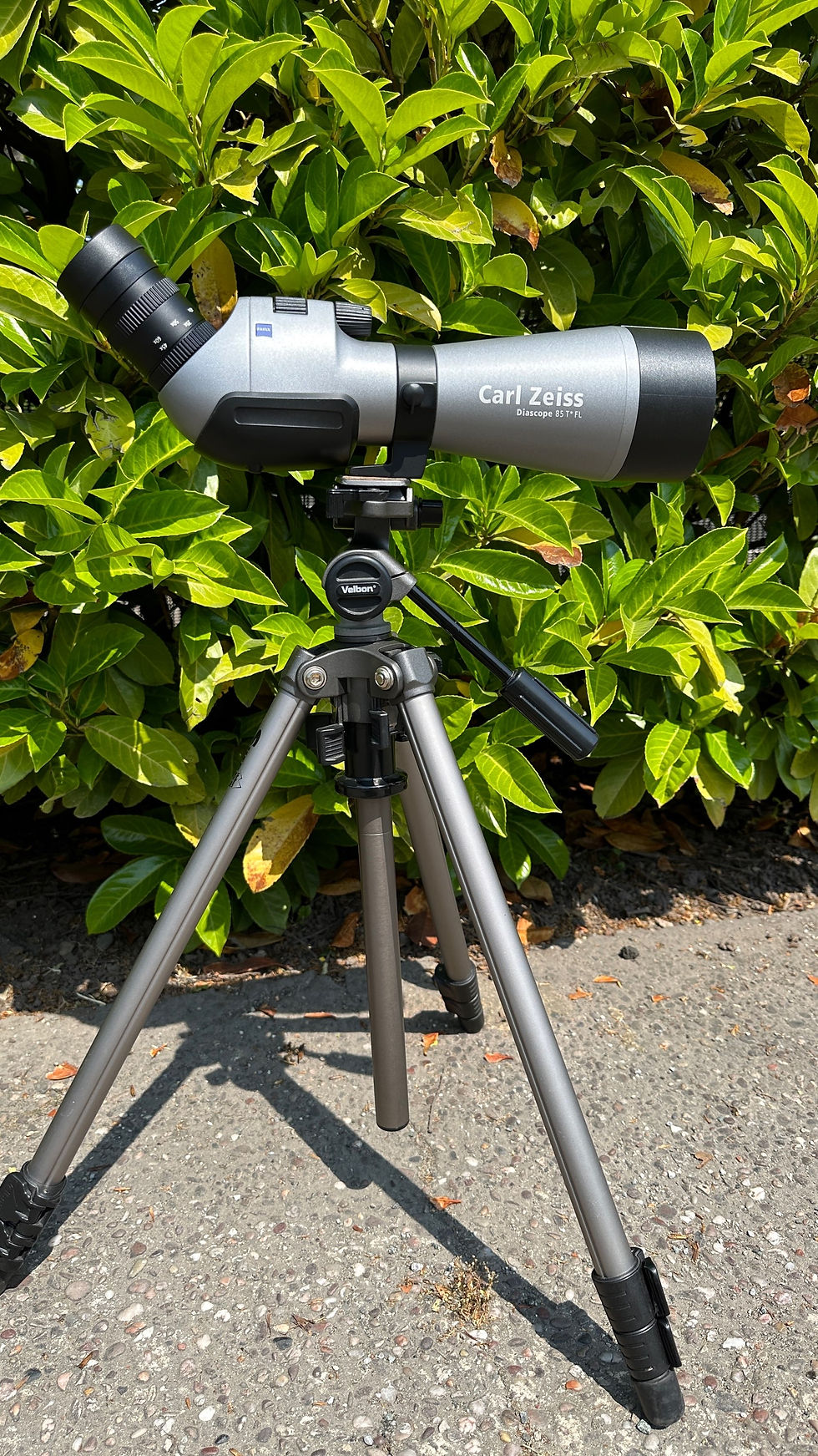 Birdwatching | Zeiss Binoculars | Focalpoint Optics Ltd