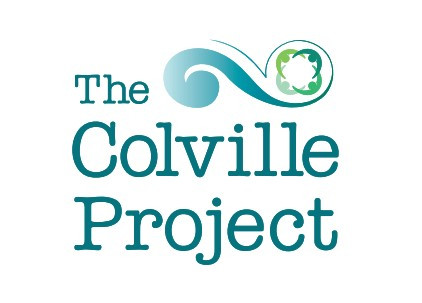 Home | Colville, Coromandel, New Zealand | The Colville Project