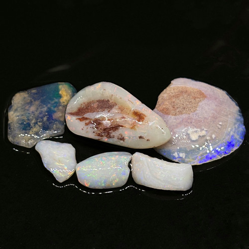 Wonderful Uncut Parcel Of Opalized Shell From Lightning Ridge Australia ...
