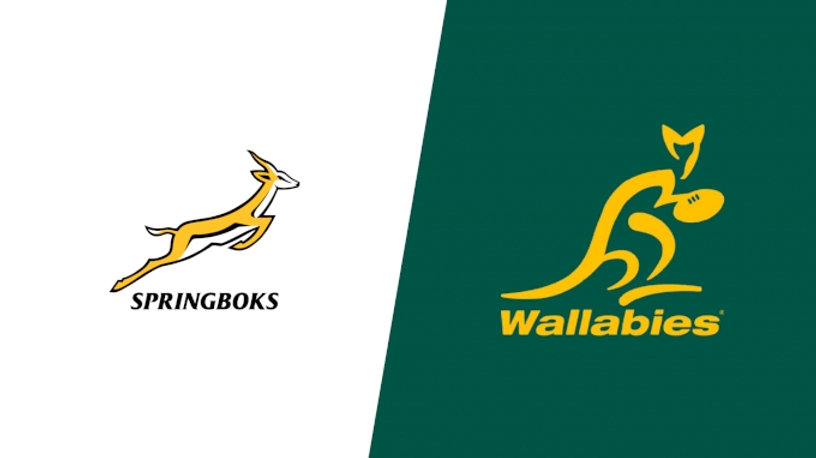 Springboks v Wallabies