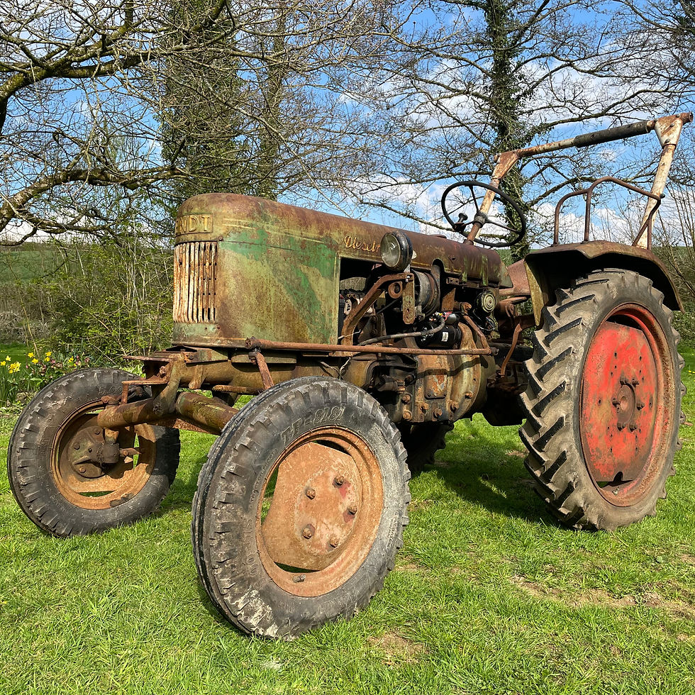 For Sale | Tamar Vintage 2/13