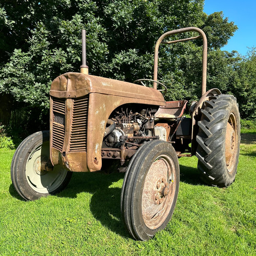 Ferguson TEF 20 | Tamar Vintage