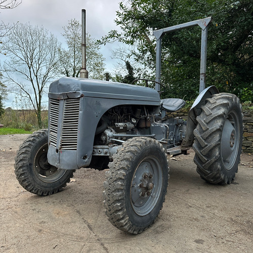 Ferguson TEF 20 | Tamar Vintage