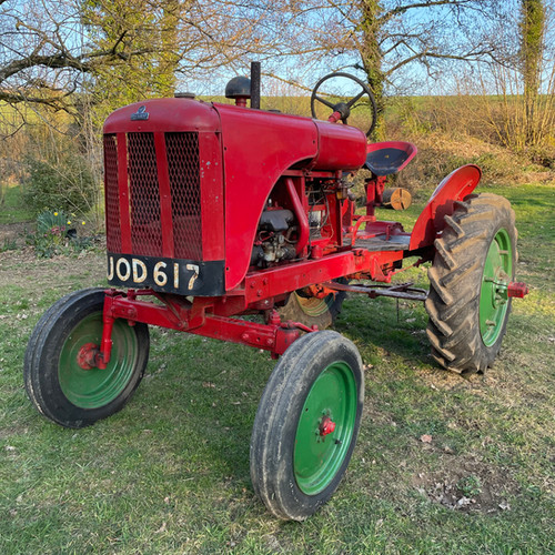 BMB President | Tamar Vintage