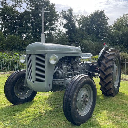 Ferguson TEF 20 | Tamar Vintage