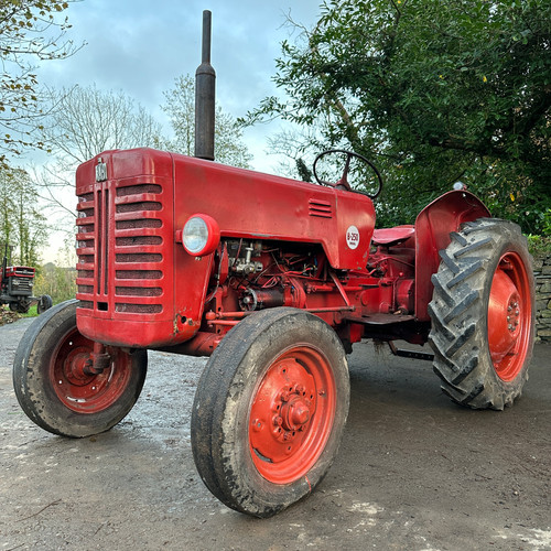 International B250 | Tamar Vintage