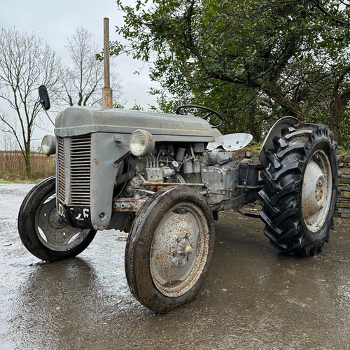 Ferguson TEF 20 | Tamar Vintage
