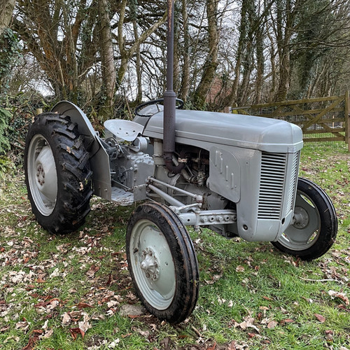 Ferguson TEA20 | Tamar Vintage