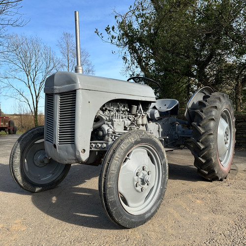Ferguson T20 | Tamar Vintage