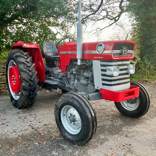 Massey Ferguson 168 | Tamar Vintage
