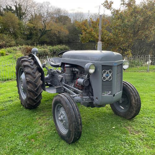 Ferguson TEA20 P3 | Tamar Vintage