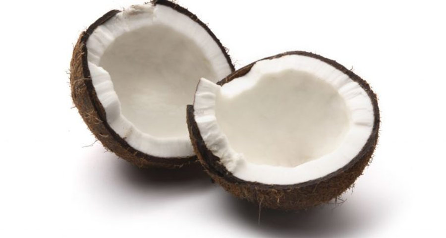 ¿Sabes donde nace el Oráculo del Coco (obi) y cual fue su historia?