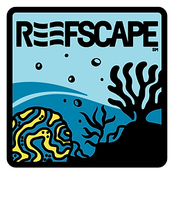 NE FIRST | FIRST Robotics Programs in New England, United States