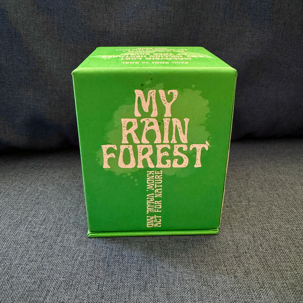 My Rainforest conservation game | SG Boardgame Design