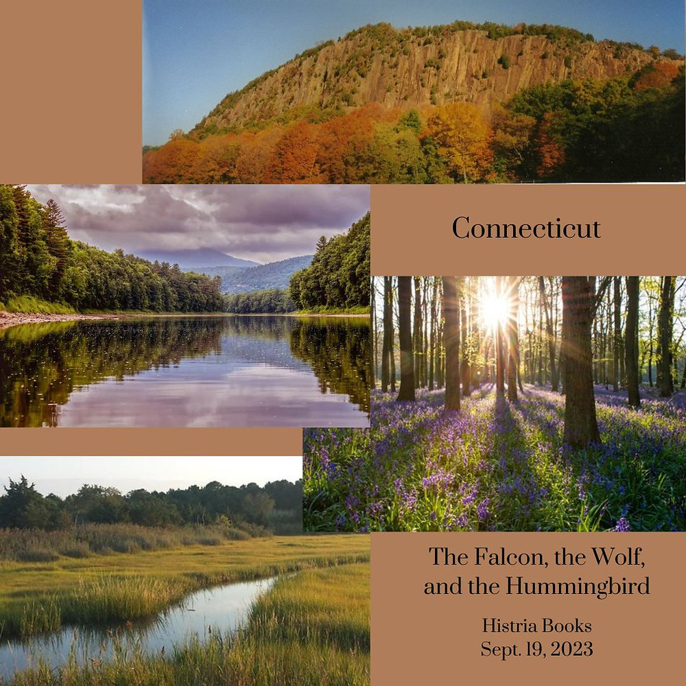 Connecticut Terrain: Main Character in Upcoming Novel