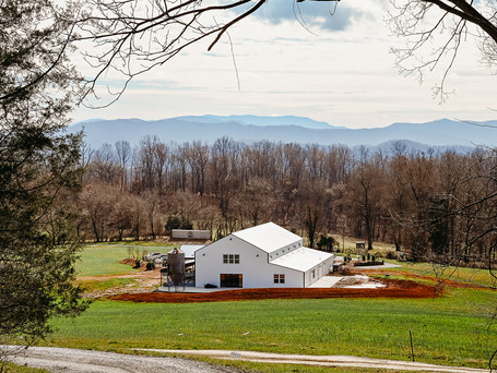 Gallery | The Hidden Vale