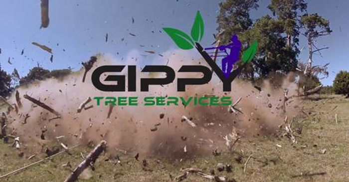 Gippy Tree Services - Your local Tree Experts