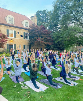 MSU Panhellenic Council | Michigan State Sororities