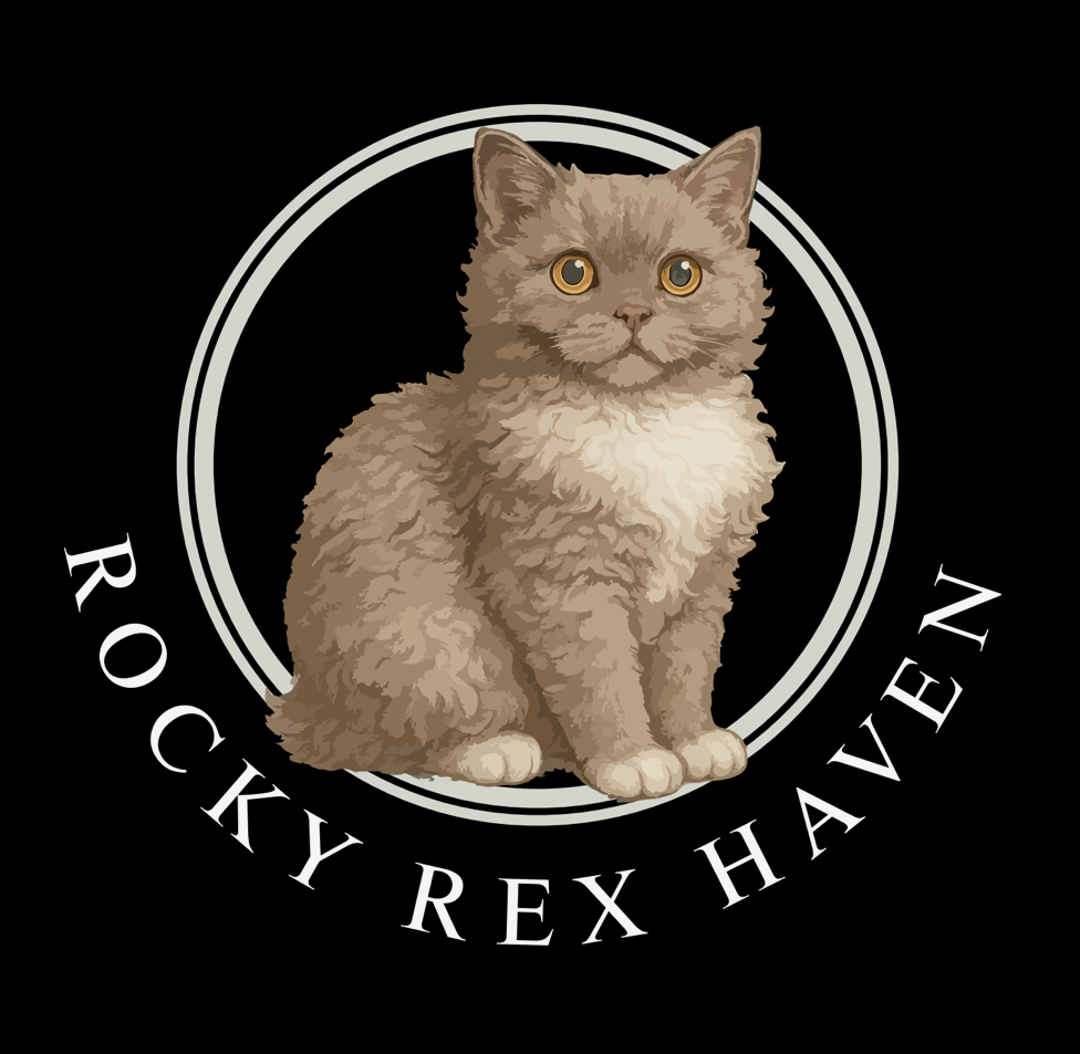 About Us | RockyRexHaven