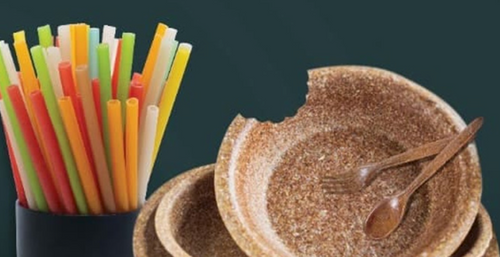 THE BIOPACK EDIBLE BUNDLE | Biopackinc Com