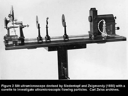 fluorescence microscopy | actiniccolposcopy