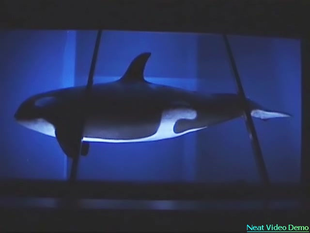 Nagoya Aquarium Robotic Whale | mannetron