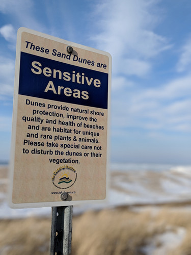 Sand Dune Sign - Metal | lhcc