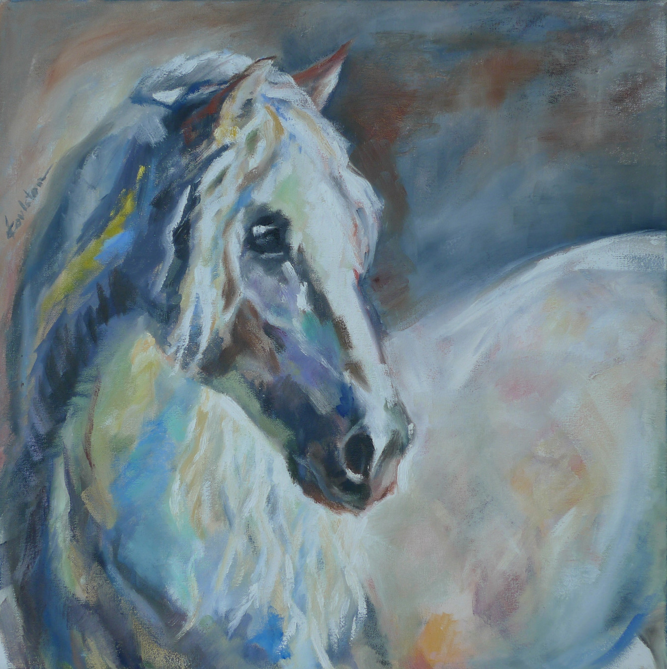 Landscape and still life | veronica-1